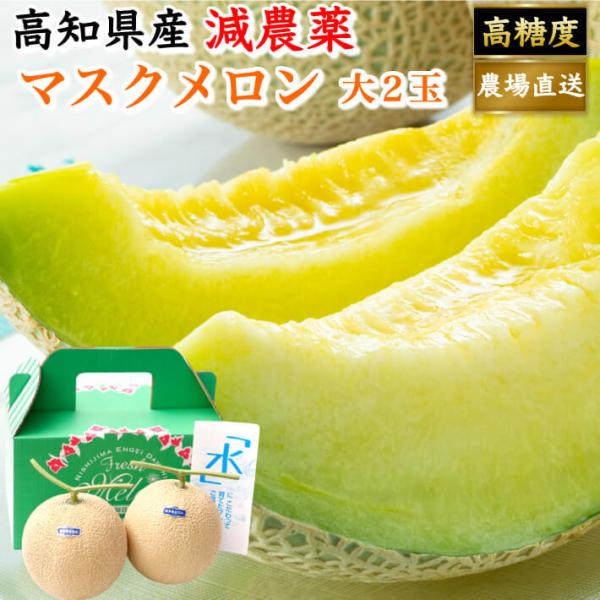 メロンを作り続けて５０年以上！土佐の楽園「西島園芸団地のメロン」約6ヘクタールもの広大な敷地に、栽培ハウス10棟を有する観光農園。高知では歴史が古く、香南市夜須のエメラルドメロンが人気を２分しております。減農薬で育て「1つの苗から1玉」だけ...