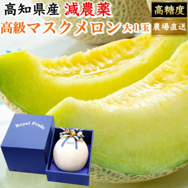 メロンを作り続けて５０年以上！土佐の楽園「西島園芸団地のメロン」約6ヘクタールもの広大な敷地に、栽培ハウス10棟を有する観光農園。高知では歴史が古く、香南市夜須のエメラルドメロンが人気を２分しております。減農薬で育て「1つの苗から1玉」だけ...