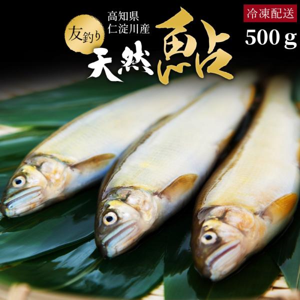 日本一の清流仁淀川の極上天然鮎！5年連続水質日本一！仁淀ブルーと呼ばれる仁淀川の天然あゆ！ベテランの専属川漁師さんが、一匹一匹「友釣り」で釣った希少な天然アユです。天然ならではの独特なスイカのような香りと、ぬめりが残る程の新鮮な鮎を産地直送...