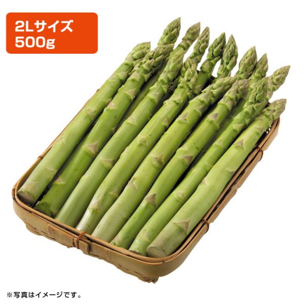 みずみずしい旬を贈る。北海道の香りが届くアスパラギフト。旬の先取り！ハウス栽培ならではのみずみずしい美味しさをお召し上がりください。●商品内容：２Ｌサイズ５００ｇ●承り期間：4月19日15：00まで●お届け期間：4/5〜5/6の間●ヤマト運...