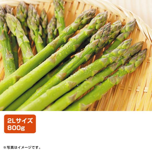 みずみずしい旬を贈る。北海道の香りが届くアスパラギフト。●商品内容：２Ｌサイズ８００ｇ（４００ｇ×２袋）●承り期間：6月7日15：00まで●お届け期間：5/20〜6/20の間●ヤマト運輸にて配達いたします。