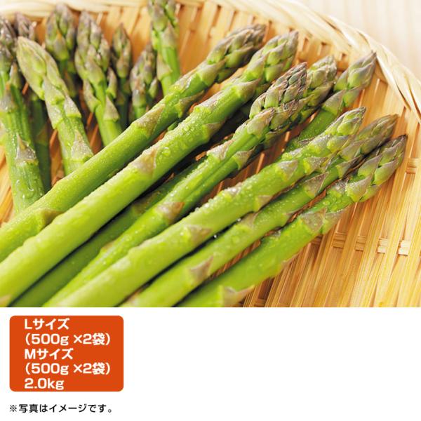 みずみずしい旬を贈る。北海道の香りが届くアスパラギフト。●商品内容：　Ｌサイズ（５００ｇ×２袋）Ｍサイズ（５００ｇ×２袋）２．０ｋｇ●承り期間：6月7日15：00まで●お届け期間：5/20〜6/20の間●ヤマト運輸にて配達いたします。