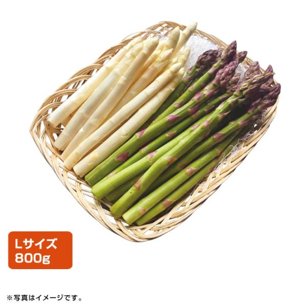 みずみずしい旬を贈る。北海道の香りが届くアスパラギフト。●商品内容：Ｌサイズ８００ｇ（４００ｇ×各１袋）●承り期間：6月7日15：00まで●お届け期間：5/20〜6/20の間●ヤマト運輸にて配達いたします。