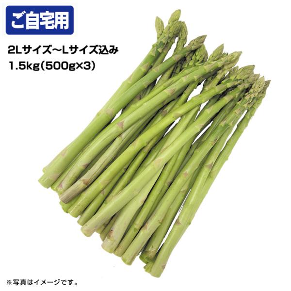 穂先が曲がったり不揃いですが味は美味しいです。●商品内容：２Ｌサイズ〜Ｌサイズ込み１．５ｋｇ（５００ｇ×３）●承り期間：6月7日15：00まで●お届け期間：5/20〜6/20の間●ヤマト運輸にて配達いたします。