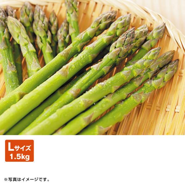 みずみずしい旬を贈る。北海道の香りが届くアスパラギフト。●商品内容：Ｌサイズ１．５ｋｇ（５００ｇ×３袋）●承り期間：6月7日15：00まで●お届け期間：5/20〜6/20の間●ヤマト運輸にて配達いたします。