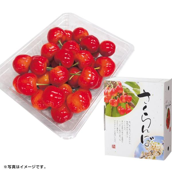 真っ赤な果実からプチっと甘い果汁が弾けます。山形県オリジナルの品種『やまがた紅王』は大粒で親に紅秀峰を持ち、味は濃厚で食べ応えのある１粒です。●商品内容：３５０ｇパック●承り期間：6月7日15：00まで●お届け期間：6/10〜7/10の間●...