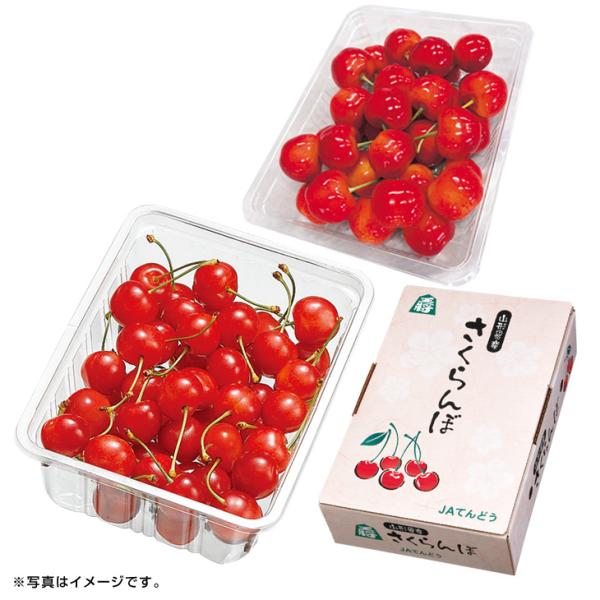 真っ赤な果実からプチっと甘い果汁が弾けます。山形県オリジナルの品種『やまがた紅王』は大粒で親に紅秀峰を持ち、味は濃厚で食べ応えのある１粒です。『やまがた紅王』と『佐藤錦』で２種の味わいをお楽しみいただけます。●商品内容：３５０ｇ入×各１パッ...
