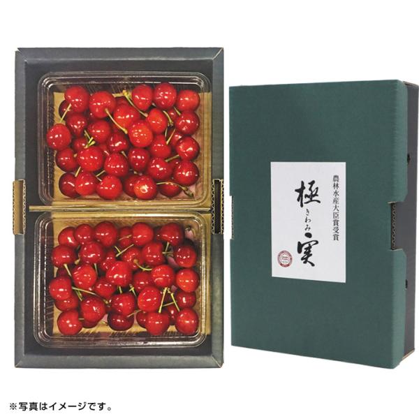 締まった果肉とコクのある甘みが特徴。鮮紅色の美果を誇る、次世代を担う品種です。●商品内容：３５０ｇ入×２パック　バラ詰め　化粧箱入り●承り期間：6月7日15：00まで●お届け期間：6/20〜7/10の間●ヤマト運輸にて配達いたします。