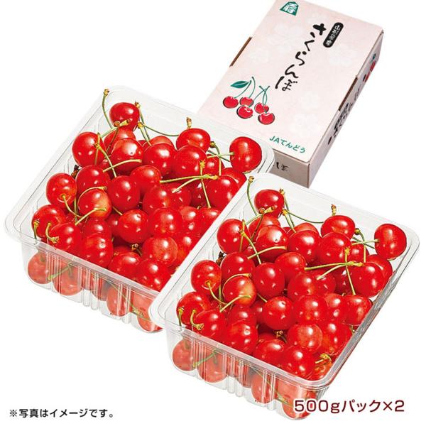 ●商品内容：５００ｇ入×２パック●承り期間：6月7日15：00まで●お届け期間：6/1〜7/6の間●ヤマト運輸にて配達いたします。
