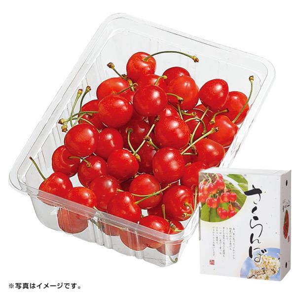 紅色が濃くプリっと食べ応えのある紅秀峰。２Ｌサイズ限定でお届けします。●商品内容：大粒５００ｇパック●承り期間：6月7日15：00まで●お届け期間：6/10〜7/6の間●ヤマト運輸にて配達いたします。