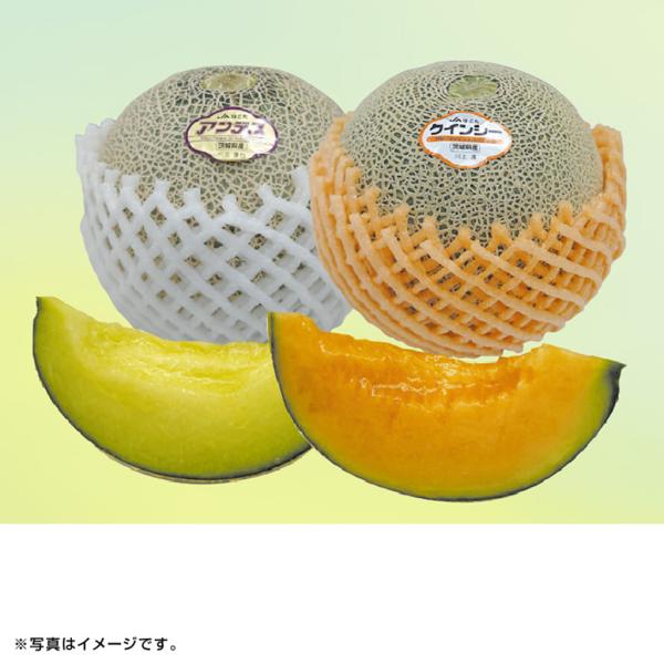 メロンを代表品種の「アンデスメロン」と人気の赤肉品種「クインシーメロン」のセットです。●商品内容：２玉（１玉１．２ｋｇ×各1玉）●承り期間：6月7日15：00まで●お届け期間：5/15〜6/30の間●ヤマト運輸にて配達いたします。