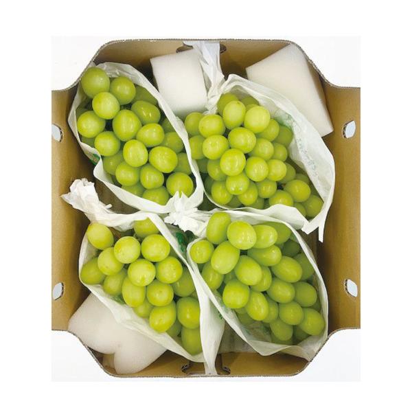 ●３ｋｇ４〜６房　※サイズ・個数の指定は出来ません、予めご了承くださいませ。●9月1日〜9月30日の間承り順に順次発送※指定日配達は承っておりません。※天候及び生育状況により「承り期間」を早めたり、「お届け期間」が変更になる場合もございます...