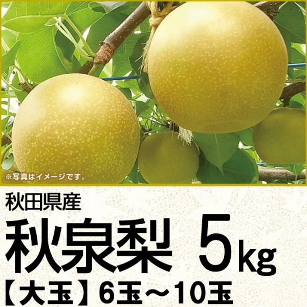 ●６〜１０玉　※サイズ・個数の指定は出来ません、予めご了承くださいませ。●10月1日〜10月20日の間承り順に順次発送※指定日配達は承っておりません。※天候及び生育状況により「承り期間」を早めたり、「お届け期間」が変更になる場合もございます...