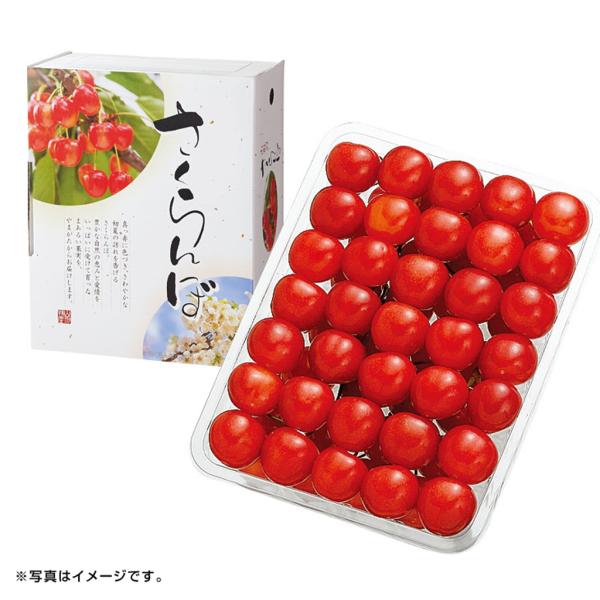 一粒一粒丁寧に並べて３詰めた生産者の気持ちのこもったさくらんぼです。●商品内容：５００ｇ手詰め●承り期間：6月7日15：00まで●お届け期間：6/1〜7/6の間●ヤマト運輸にて配達いたします。