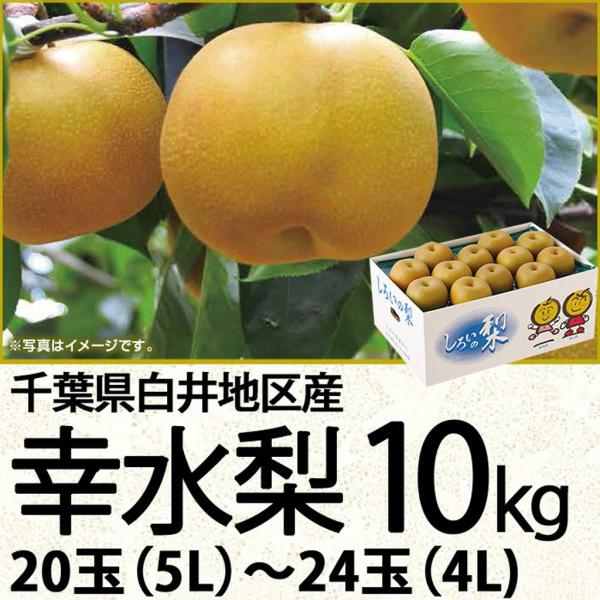 ●２０玉〜２４玉　※サイズ・個数の指定は出来ません、予めご了承くださいませ。●7月23日〜8月22日の間承り順に順次発送※指定日配達は承っておりません。※天候及び生育状況により「承り期間」を早めたり、「お届け期間」が変更になる場合もございま...