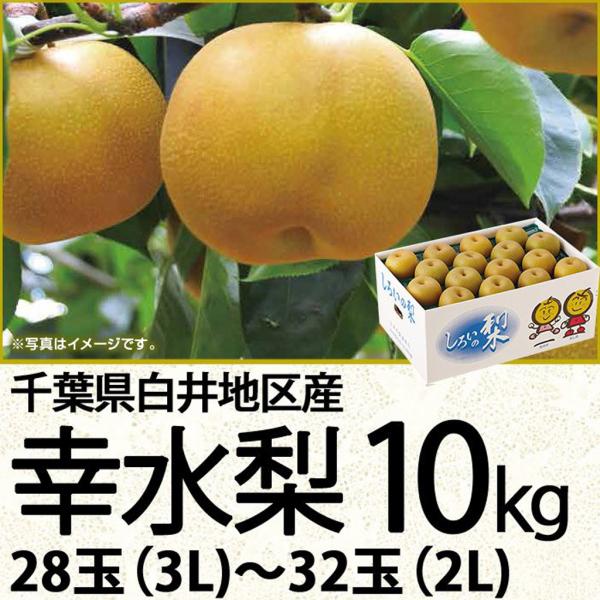 ●２８玉〜３２玉　※サイズ・個数の指定は出来ません、予めご了承くださいませ。●7月23日〜8月22日の間承り順に順次発送※指定日配達は承っておりません。※天候及び生育状況により「承り期間」を早めたり、「お届け期間」が変更になる場合もございま...
