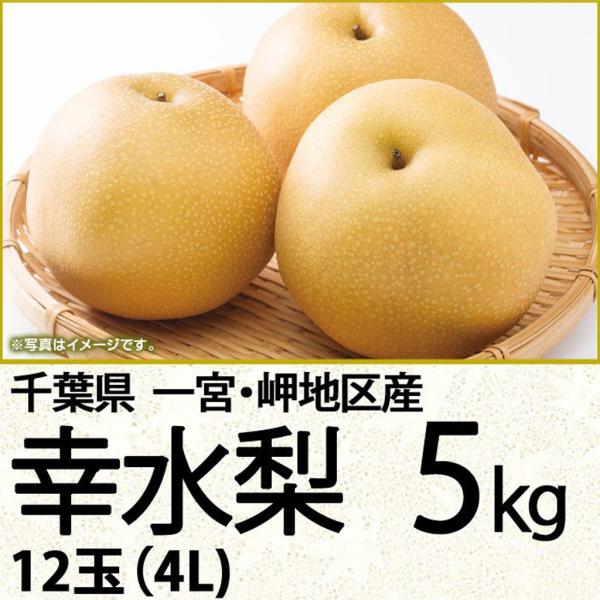 ●１２玉※サイズ・個数の指定は出来ません、予めご了承くださいませ。●7月23日〜8月22日の間承り順に順次発送※指定日配達は承っておりません。※天候及び生育状況により「承り期間」を早めたり、「お届け期間」が変更になる場合もございます。あらか...