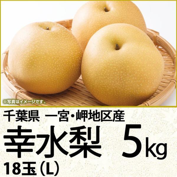 ●１８玉　※サイズ・個数の指定は出来ません、予めご了承くださいませ。●7月23日〜8月22日の間承り順に順次発送※指定日配達は承っておりません。※天候及び生育状況により「承り期間」を早めたり、「お届け期間」が変更になる場合もございます。あら...
