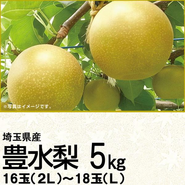 ●１６玉〜１８玉　※サイズ・個数の指定は出来ません、予めご了承くださいませ。●9月1日〜9月14日の間承り順に順次発送※指定日配達は承っておりません。※天候及び生育状況により「承り期間」を早めたり、「お届け期間」が変更になる場合もございます...