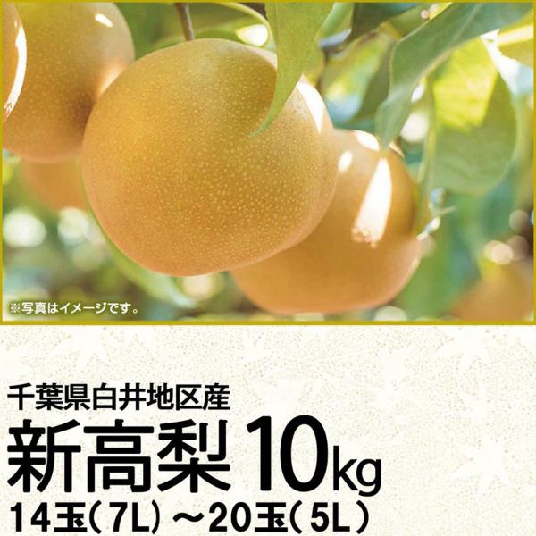 ●１４玉〜２０玉　※サイズ・個数の指定は出来ません、予めご了承くださいませ。●8月27日〜9月25日の間承り順に順次発送※指定日配達は承っておりません。※天候及び生育状況により「承り期間」を早めたり、「お届け期間」が変更になる場合もございま...
