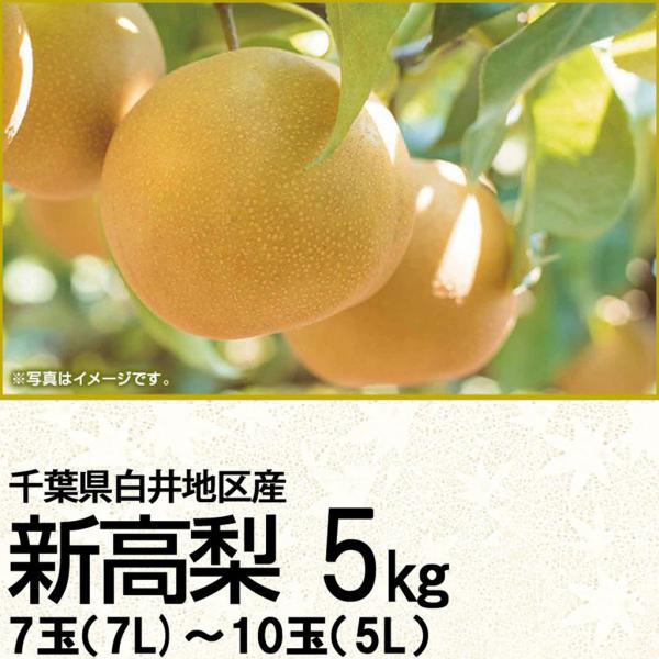 ●７玉〜１０玉　※サイズ・個数の指定は出来ません、予めご了承くださいませ。●8月27日〜9月25日の間承り順に順次発送※指定日配達は承っておりません。※天候及び生育状況により「承り期間」を早めたり、「お届け期間」が変更になる場合もございます...