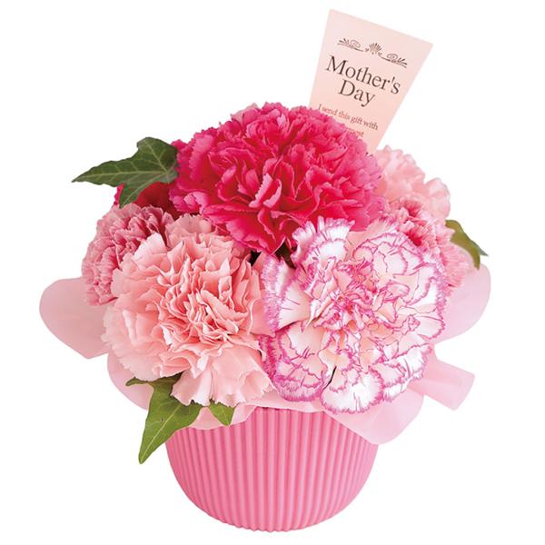ピンク系のカーネーションがふんわり可愛いアレンジメントです。●商品内容カーネーション×5、スプレーカーネーション×1、アイビー×1、ラッピングシート、プラスチック製花器、母の日ピック　　●同梱品母の日メッセージカード、お手入れのしおり※メッ...