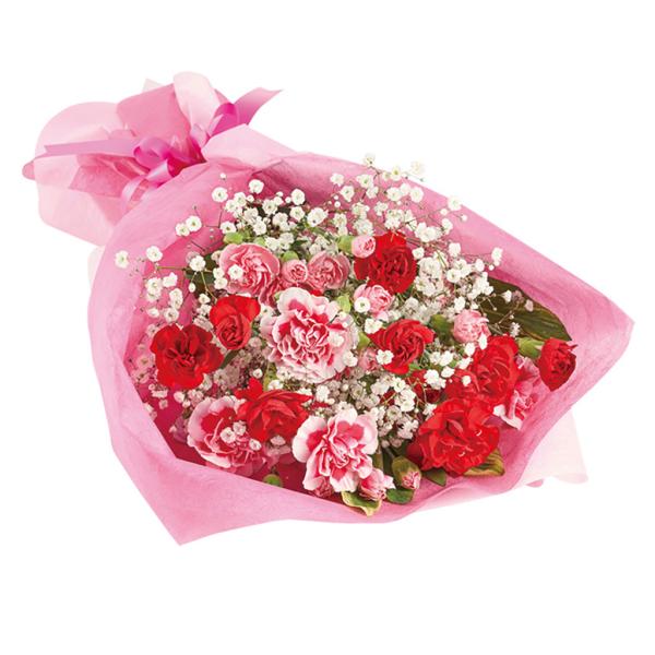 人気の赤ピンクを中心としたカーネーションの花束です。●商品内容スプレーカーネーション（赤×３、ピンク×３、チェリー×２）、かすみ草、ドラセナ、ラッピング、リボン　　●同梱品母の日メッセージカード、お手入れのしおり※メッセージカードは固定メッ...