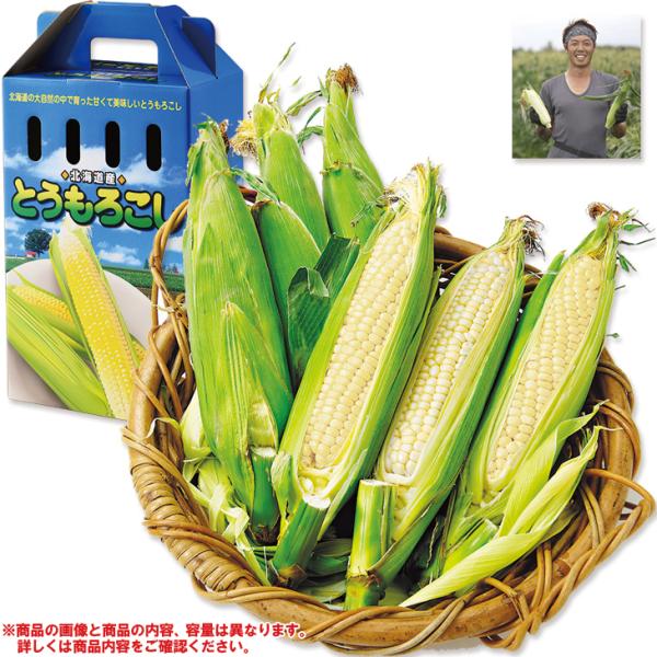 ●商品内容Ｌサイズ１０本（３．０ｋｇ）●承り期間：8月7日15：00まで●ヤマト運輸にて配達いたします。※こちらの商品は無包装のみの商品になります。先様に直接お届けする前提であり、お品物を包装せずに直接お届け伝票を貼り付けてのお届けとなりま...
