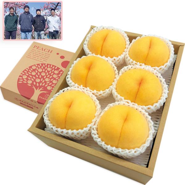 ●商品内容５〜７玉（１．８ｋｇ）●承り期間：7月21日15：00まで●ヤマト運輸にて配達いたします。※こちらの商品は無包装のみの商品になります。先様に直接お届けする前提であり、お品物を包装せずに直接お届け伝票を貼り付けてのお届けとなります。...