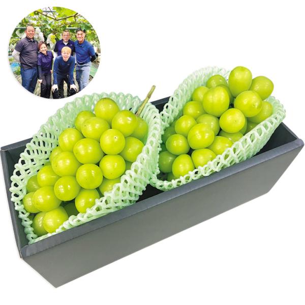 ●商品内容２房（９００ｇ）●承り期間：7月31日15：00まで●ヤマト運輸にて配達いたします。※こちらの商品は無包装のみの商品になります。先様に直接お届けする前提であり、お品物を包装せずに直接お届け伝票を貼り付けてのお届けとなります。お手持...