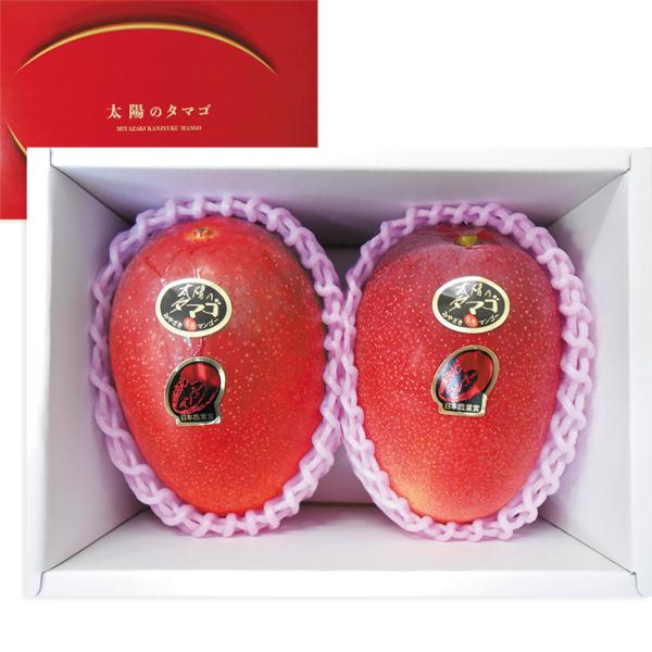 ●商品内容２玉または３玉（９００ｇ）●承り期間：7月15日15：00まで●ヤマト運輸にて配達いたします。※こちらの商品は無包装のみの商品になります。先様に直接お届けする前提であり、お品物を包装せずに直接お届け伝票を貼り付けてのお届けとなりま...