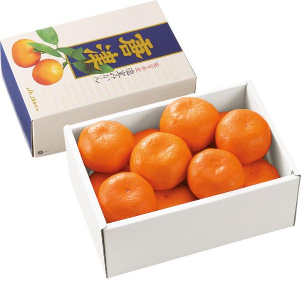 ●商品内容Ｍサイズ１２玉またはＳサイズ１５玉（１．０ｋｇ）●承り期間：7月25日15：00まで●ヤマト運輸にて配達いたします。※こちらの商品は無包装のみの商品になります。先様に直接お届けする前提であり、お品物を包装せずに直接お届け伝票を貼り...