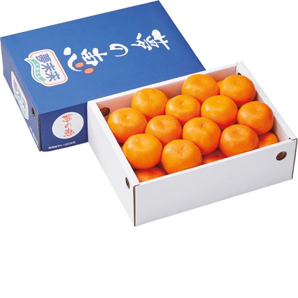 ●商品内容Ｍサイズ２５玉またはＳサイズ３２玉（２．５ｋｇ）●承り期間：7月29日15：00まで●ヤマト運輸にて配達いたします。※こちらの商品は無包装のみの商品になります。先様に直接お届けする前提であり、お品物を包装せずに直接お届け伝票を貼り...