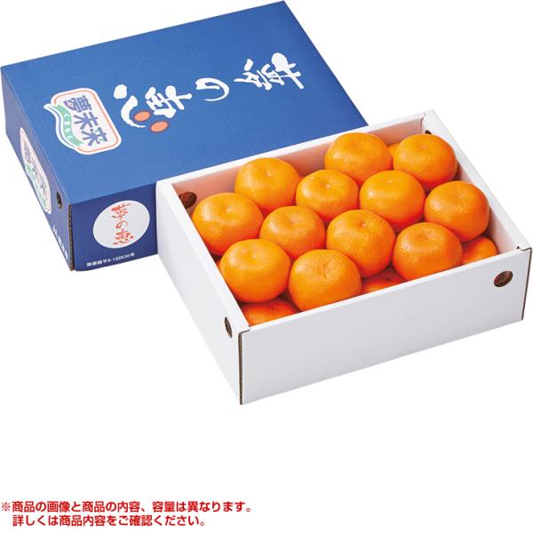 ●商品内容Ｍサイズ１２玉またはＳサイズ１５玉（１．２ｋｇ）●承り期間：7月29日15：00まで●ヤマト運輸にて配達いたします。※こちらの商品は無包装のみの商品になります。先様に直接お届けする前提であり、お品物を包装せずに直接お届け伝票を貼り...