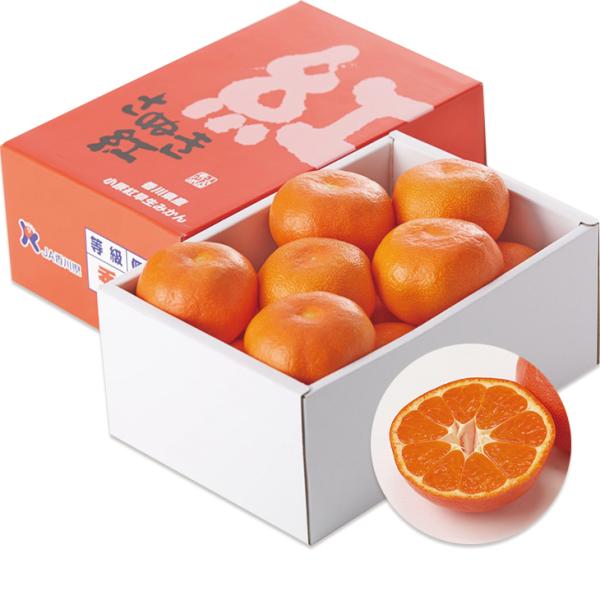 ●商品内容Ｍサイズ１２玉またはＳサイズ１５玉（１．２ｋｇ）●承り期間：7月19日15：00まで●ヤマト運輸にて配達いたします。※こちらの商品は無包装のみの商品になります。先様に直接お届けする前提であり、お品物を包装せずに直接お届け伝票を貼り...