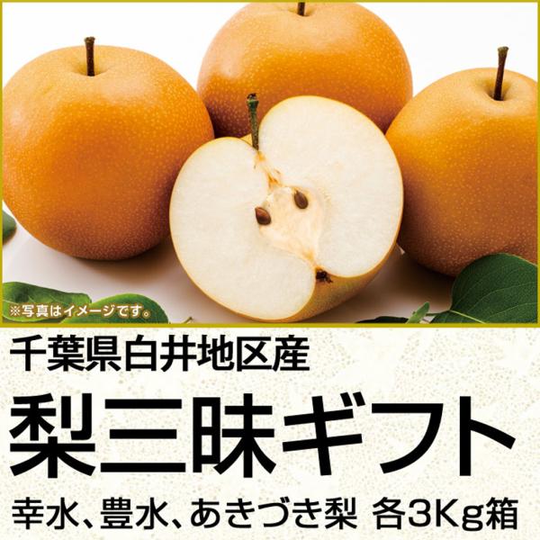 ●幸水梨３ｋｇ４Ｌ〜２Ｌ７玉〜１０玉豊水梨３ｋｇ５Ｌ〜２Ｌ６玉〜１０玉あきづき梨３ｋｇ６L〜２Ｌ６玉〜１０玉　※サイズ・個数の指定は出来ません、予めご了承くださいませ。●幸水：7月27日〜8月22日、豊水：8月24日〜9月5日、あきづき：9...