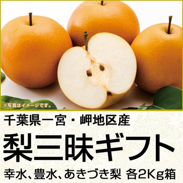 ●幸水梨２ｋｇ２Ｌ〜Ｌ７玉〜８玉豊水梨２ｋｇ３Ｌ〜２Ｌ６玉〜７玉あきづき梨２ｋｇ３Ｌ〜Ｌ６玉〜８玉　※サイズ・個数の指定は出来ません、予めご了承くださいませ。●幸水：7月23日〜8月22日、豊水：8月24日〜9月10日、あきづき：9月11日...