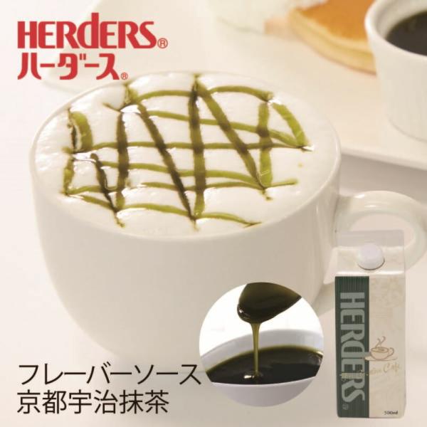 国産の抹茶を使用。抹茶本来の渋みのなかに甘みが引き立ったソース。加えるだけで和風カフェメニューへと簡単に早変わり。使うだけで簡単に和デザートになる、カフェ用フレーバーソース和シリーズ。ドリンクや、デザートメニューに「混ぜる」「かける」「飾る...
