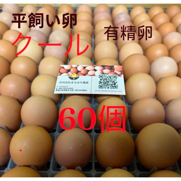 キーワード：「クール便」平飼い卵　もみじ卵　60個＜ご挨拶＞有精卵・平飼い卵です。安全・安心・美味しい卵のために、私たちでは、定期的に親鶏の健康をチェックし、毎日、卵の品質検査を実施する。また、卵は飼料（エサ）の影響を強く受けるため、安全で...