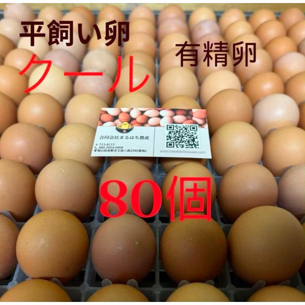 キーワード：「クール便」平飼い卵　もみじ卵　80個＜ご挨拶＞有精卵・平飼い卵です。安全・安心・美味しい卵のために、私たちでは、定期的に親鶏の健康をチェックし、毎日、卵の品質検査を実施する。また、卵は飼料（エサ）の影響を強く受けるため、安全で...
