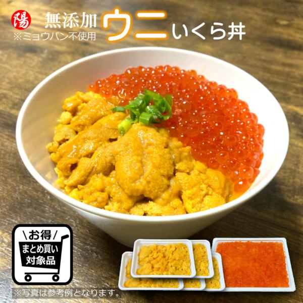 ◆名称:ウニいくら(チャム/白鮭卵)セット◆内容量:無添加ウニ500g(100g×5)＋鮭いくら醤油漬け500g<ウニ>◆産地名:チリ共和国◆原材料:うに◆輸入者:マルワズ貿易株式会社/大阪府堺市堺区神明町東2丁1番8号◆賞味期...