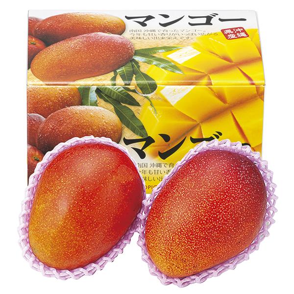 ■商品詳細内容量：約450g×2個温度帯：冷蔵便でお届けいたします。商品重量:1.2kg商品記号:136‐AM‐W■お届け時期についてお届け時期：7月上旬より順次発送備考：カタログ掲載P47   ※商品の性質上、離島は除かせていただきます。...