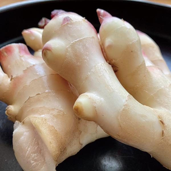 ■説明初夏に収穫される新生姜とは、貯蔵せずに新鮮な状態で出荷した物です。皮が白く、みずみずしく、柔らかいのが特徴です。食べ方は甘漬けが定番です。■商品詳細内容量：Lサイズ／約4kg温度帯：冷蔵便原産地・加工地:高知県又は和歌山県商品記号:D...