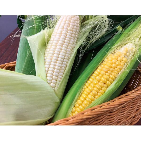 ■説明早朝収穫したものを急速冷蔵し選別して箱詰め、発送いたします。■商品詳細内容量：2L〜Lサイズ／約3.5kg／白5本・黄5本温度帯：冷蔵便原産地・加工地:北海道商品記号:DHM18■お届け時期についてお届け時期：8月中旬以降順次発送備考...