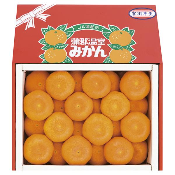 ■商品詳細内容量：Sサイズ30個入・約2.5kg温度帯：冷蔵便でお届けいたします。商品重量:2.8kg商品記号:136‐NH‐S■お届け時期についてお届け時期：7月上旬より順次発送備考：カタログ掲載P49   ※商品の性質上、離島は除かせて...