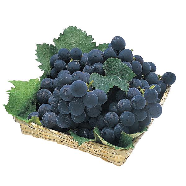 ■商品詳細内容量：2〜4房入・約1kg/配送専用箱温度帯：冷蔵便でお届けいたします。商品重量:1.2kg商品記号:136‐KK‐A■お届け時期についてお届け時期：7月上旬より順次発送備考：カタログ掲載P10  ※商品の性質上、離島は除かせて...