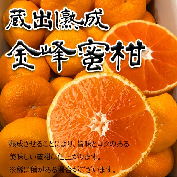 【発売日：2026年01月17日】熊本県産   蔵出し 金峰みかん 3キロ前後 熟成されたコクのある蜜柑です金峰みかんは、熊本県が誇る最高級の晩生温州みかんです。12月中旬までに収穫され、蔵での熟成過程（予措）を経ることで、絶妙な甘みとコク...