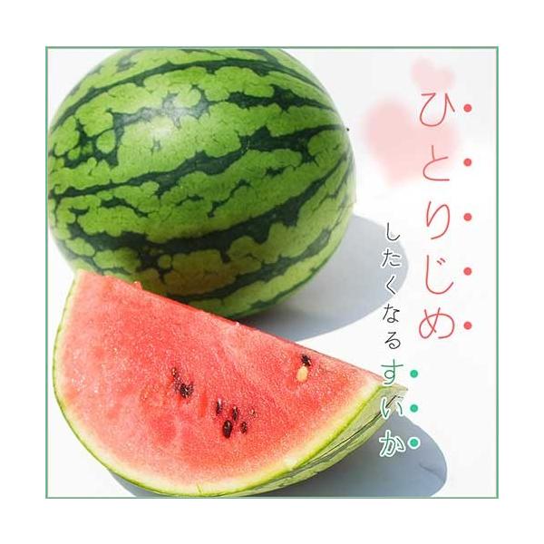 【 熊本県産 】小玉すいか ひとりじめ 黒小玉すいか 2玉入り ・重さ：1玉当たり1kg前後〜 ・品種はひとりじめ・黒小玉・スイートキッズ・まなむすめ等旬の西瓜をお届けします。・可愛らしい食べきりサイズの西瓜です。 ・熊本の台所、田崎市場よ...