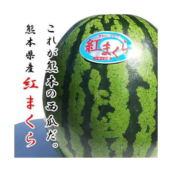 【発売日：2026年04月30日】【 熊本県産 】 紅まくら 大玉すいか 秀品 5kg〜6kg前後 2玉入り・内容量：1玉当たり 5kg〜6kg前後 ・熊本の台所、田崎市場より美味しい西瓜をお届け。・ギフト包装は行っておりません。お選びいた...