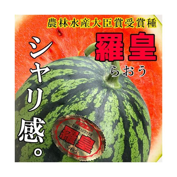 【発売日：2026年05月15日】【 熊本県産 】 羅皇 らおう 羅皇ザ・スウィート　高級 西瓜 2玉入り ・内容量：1玉当たり 約5kg〜・2016年に登場した新品種！！農林水産大臣賞受賞種・果肉は硬めで、シャリ感が特徴です。・表皮、果肉...